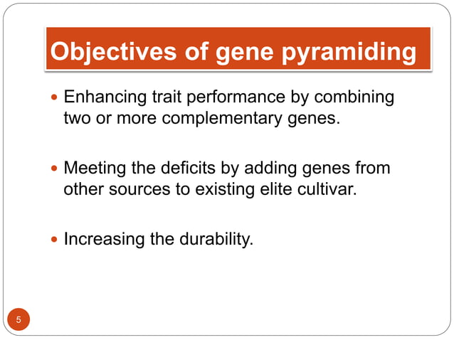 Gene pyramiding | PPTX