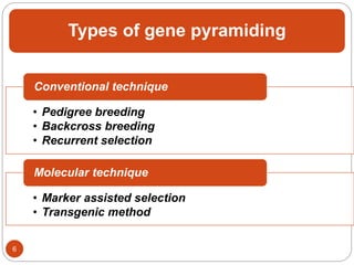 Gene pyramiding | PPTX
