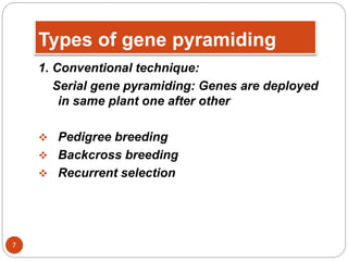 Gene pyramiding | PPTX