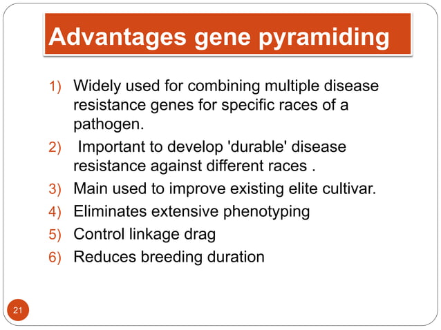 Gene pyramiding