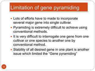Gene pyramiding | PPT