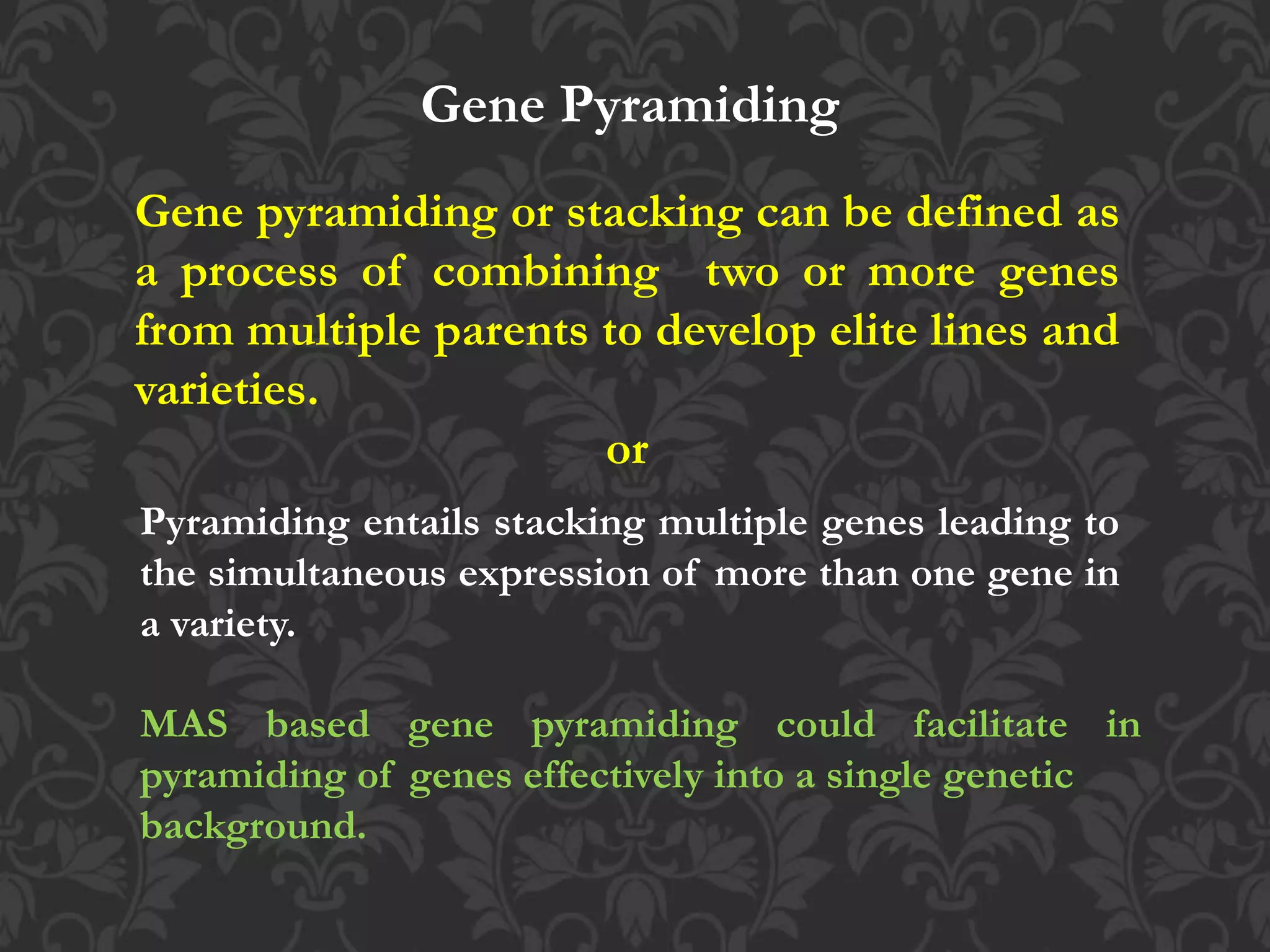 Gene pyramiding | PPTX