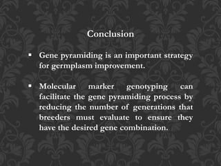 Gene pyramiding | PPTX