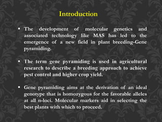 Gene pyramiding | PPTX