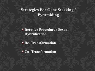 Gene pyramiding | PPTX