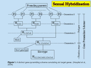 Gene pyramiding | PPTX