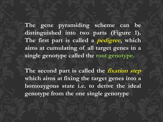 Gene pyramiding | PPTX