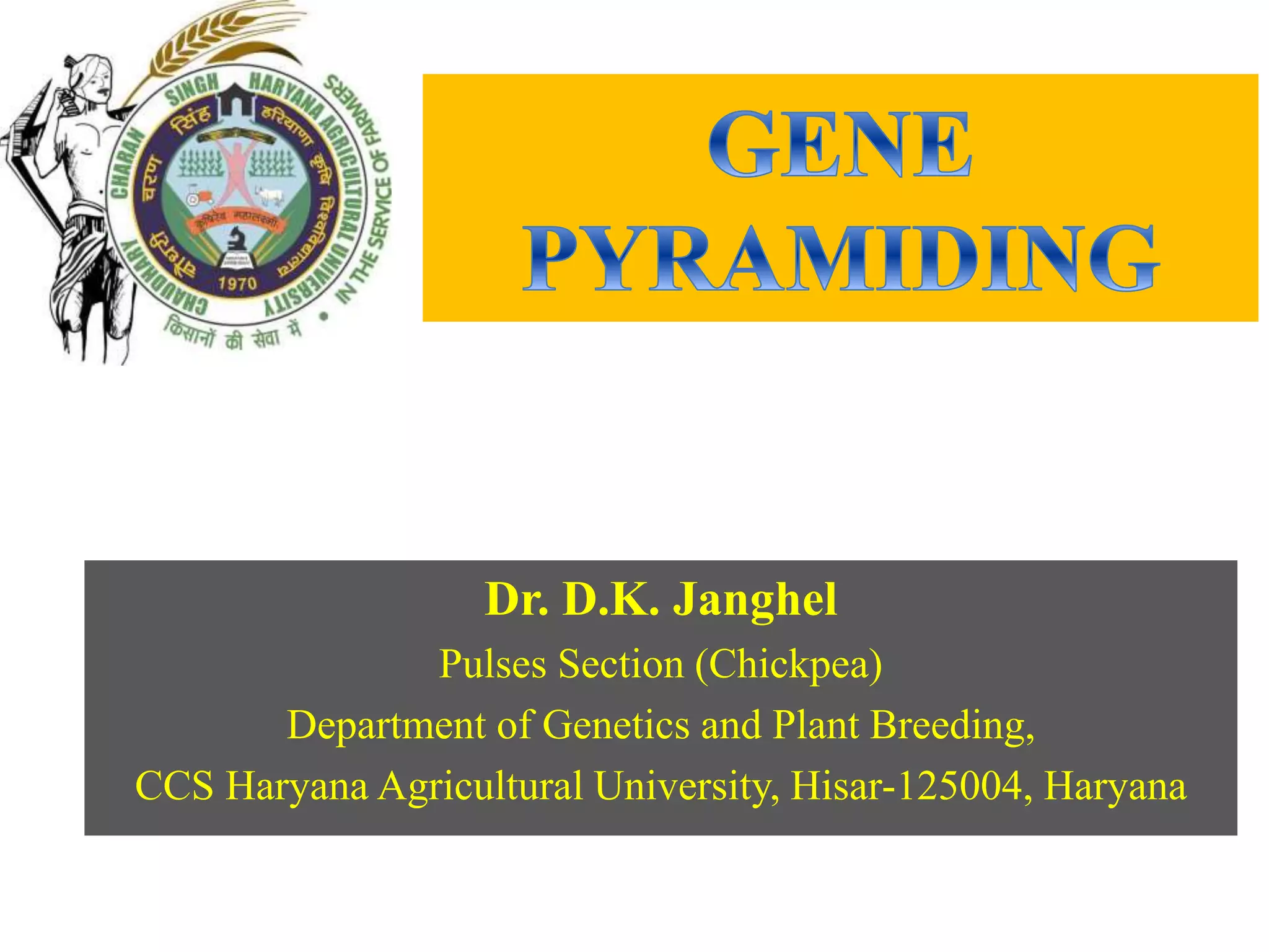 Gene Pyramiding11.pptx