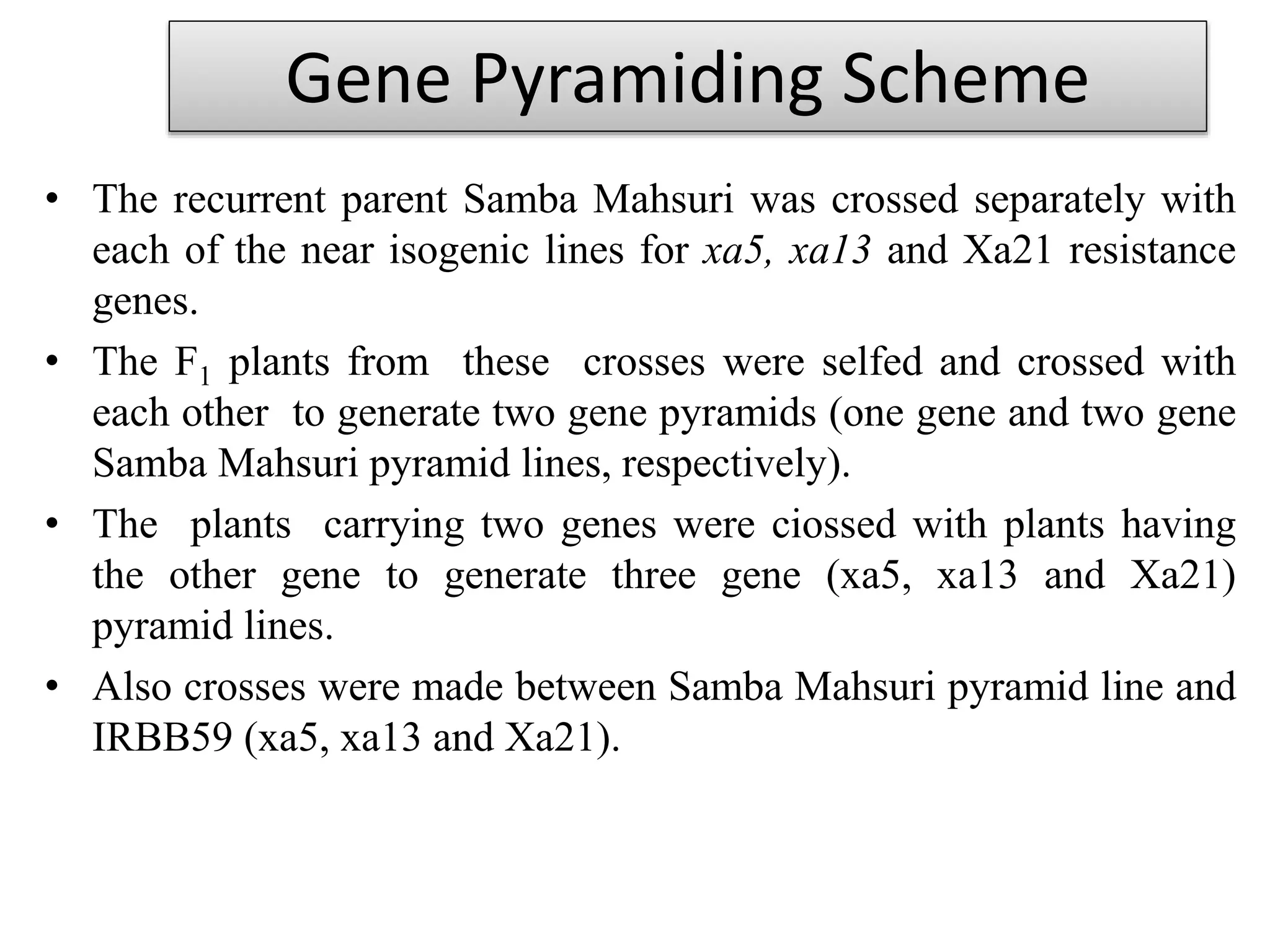 Gene Pyramiding11.pptx