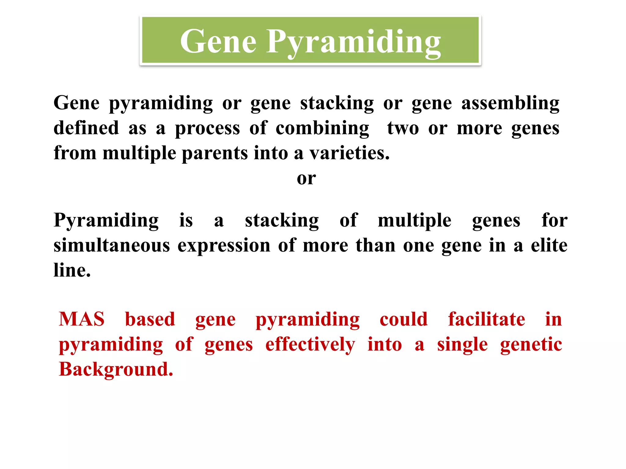 Gene Pyramiding11.pptx