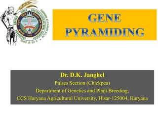 Gene Pyramiding11.pptx