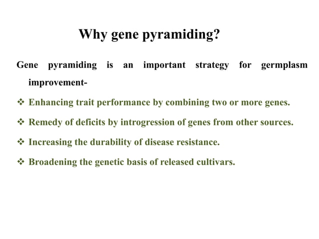 Gene Pyramiding11.pptx