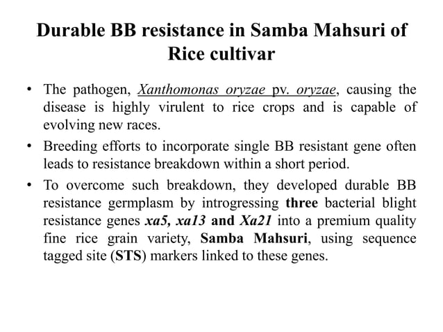 Gene Pyramiding11.pptx
