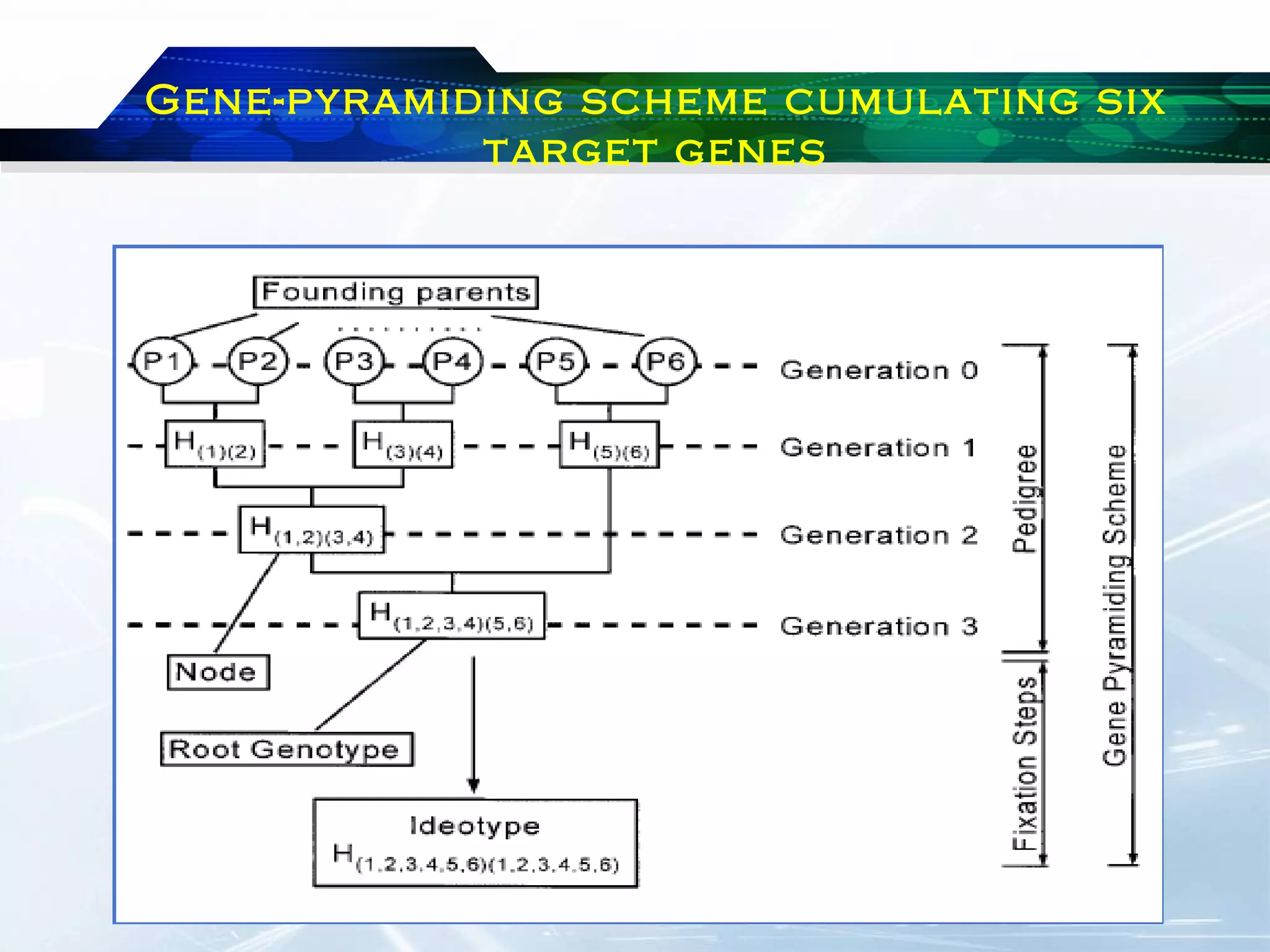 Genepyramiding for biotic resistance | PPT
