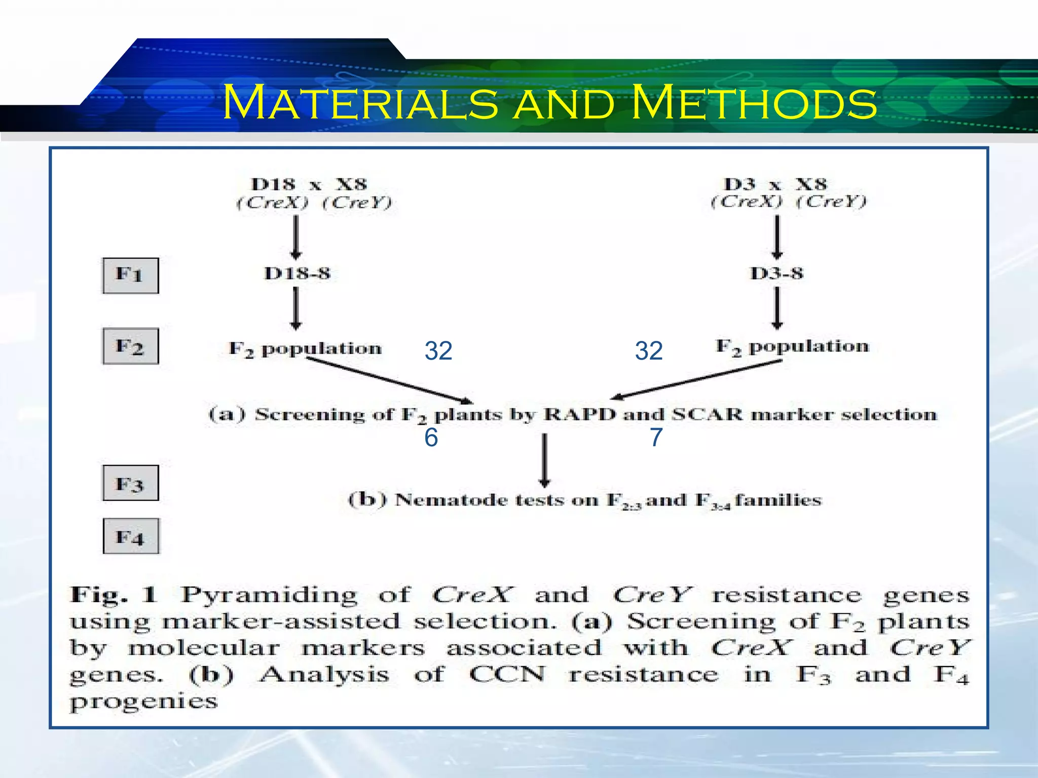 Genepyramiding for biotic resistance | PPT