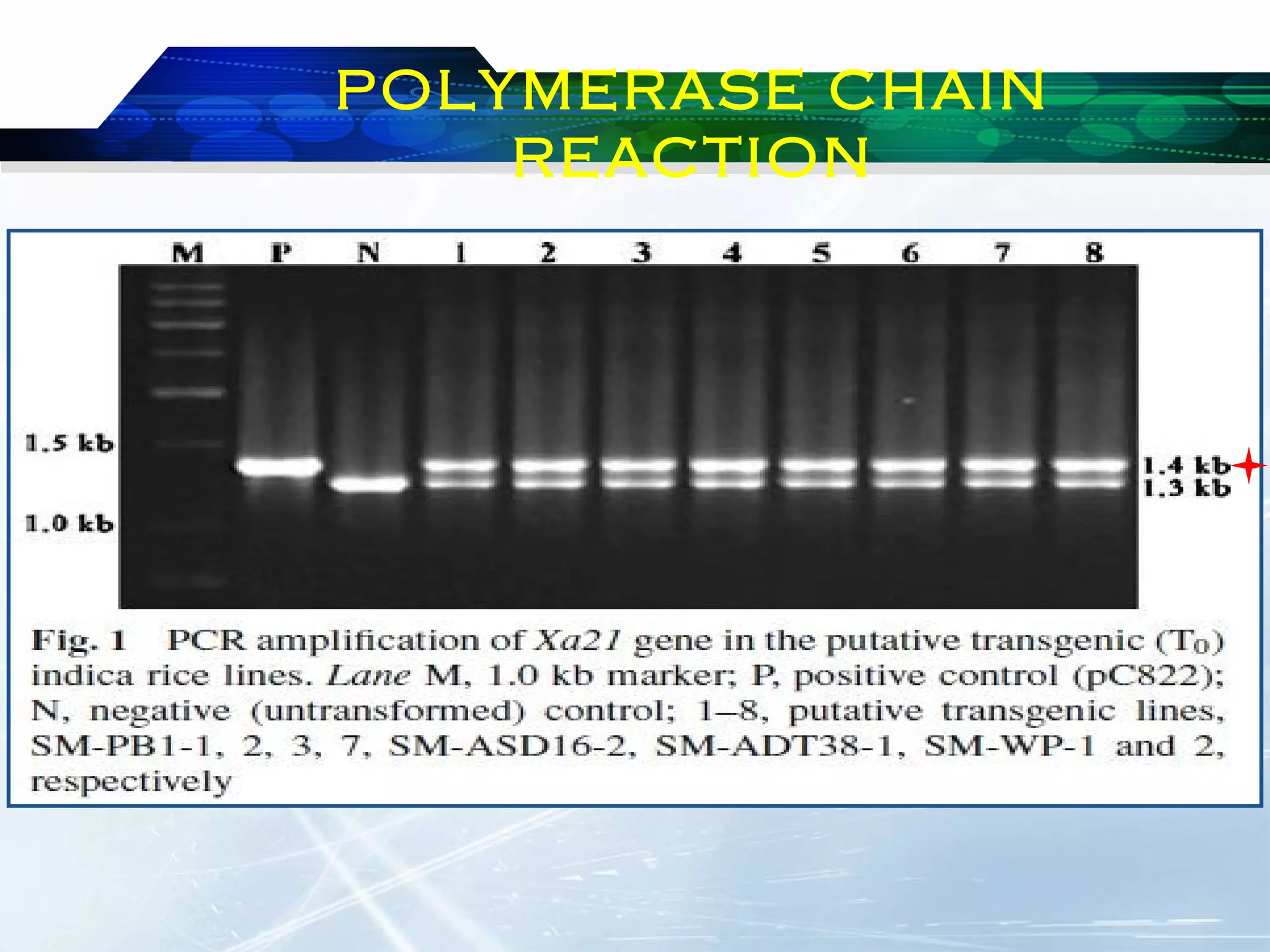 Genepyramiding for biotic resistance | PPT