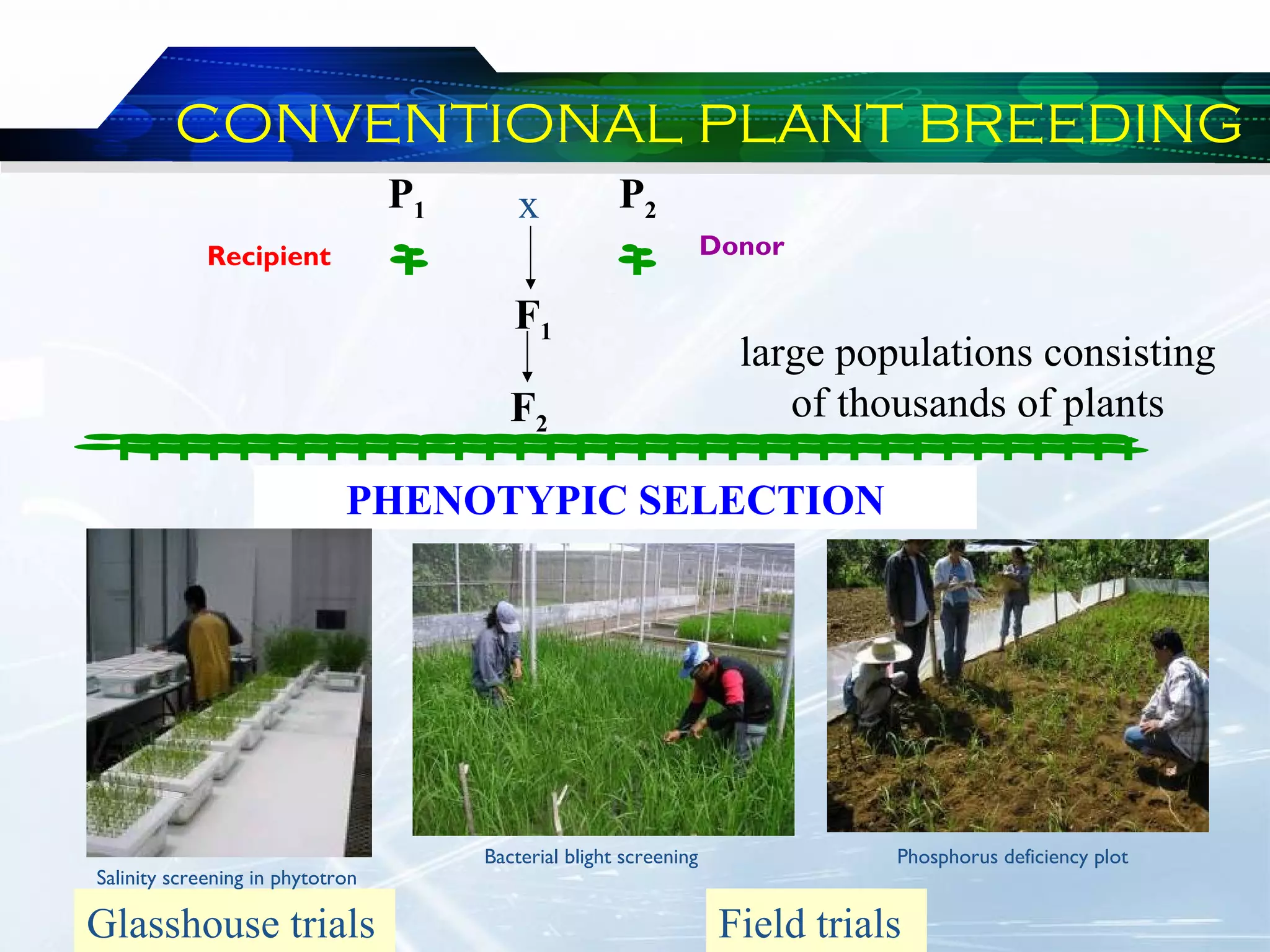 Genepyramiding for biotic resistance | PPT
