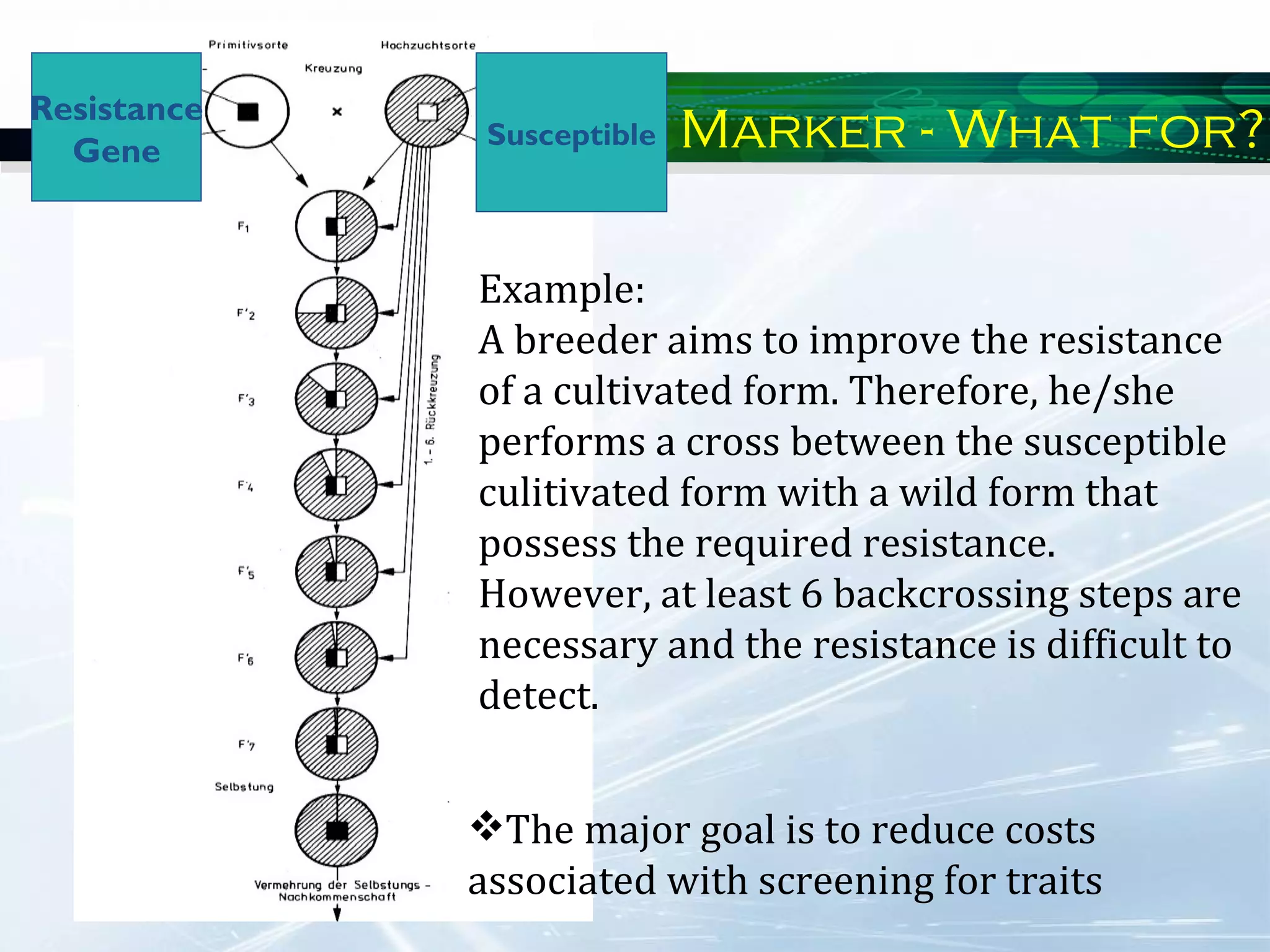 Genepyramiding for biotic resistance | PPT