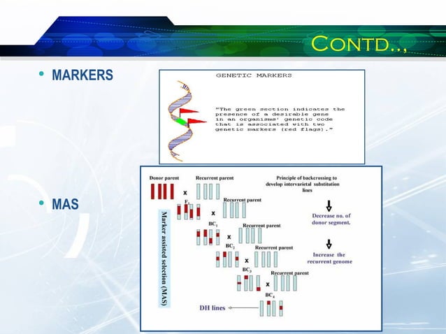 Genepyramiding for biotic resistance | PPT