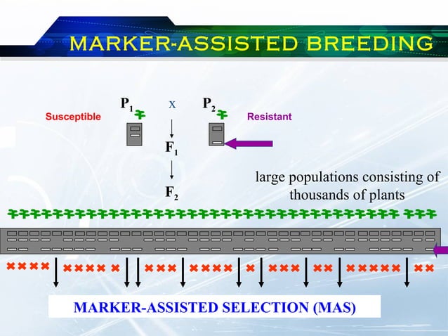 Genepyramiding for biotic resistance | PPT