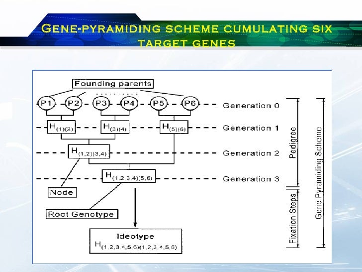 Genepyramiding for biotic resistance