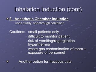 General Anesthesia | PPT