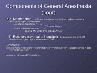 General Anesthesia | PPT