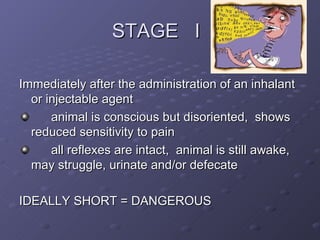 General Anesthesia | PPT