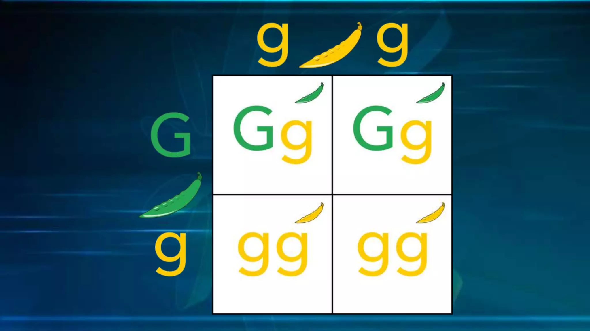 General-Biology-2-Orientation.pptx