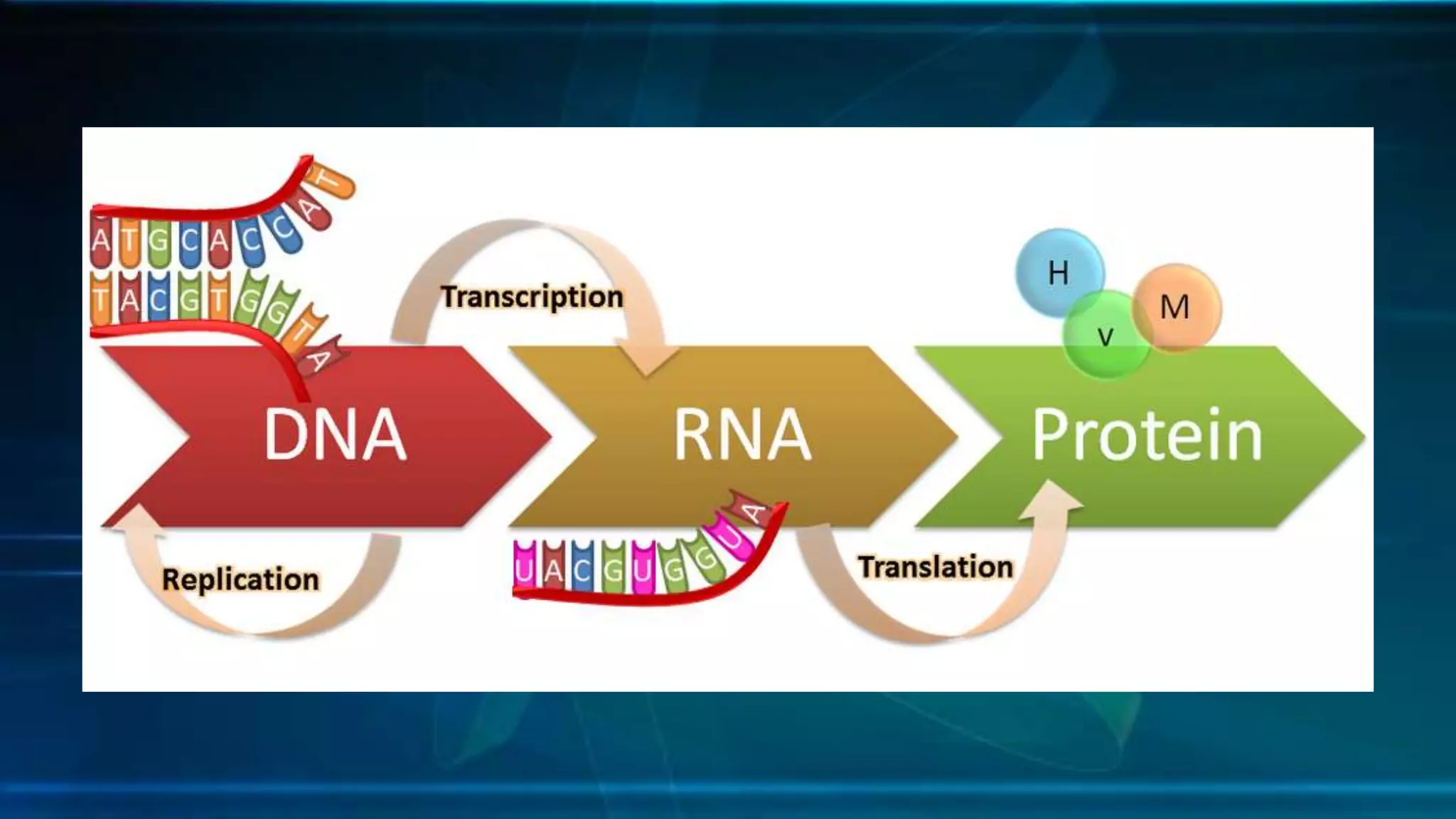 General-Biology-2-Orientation.pptx