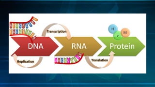 General-Biology-2-Orientation.pptx