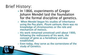 General-Biology----------2_Genetics.pptx