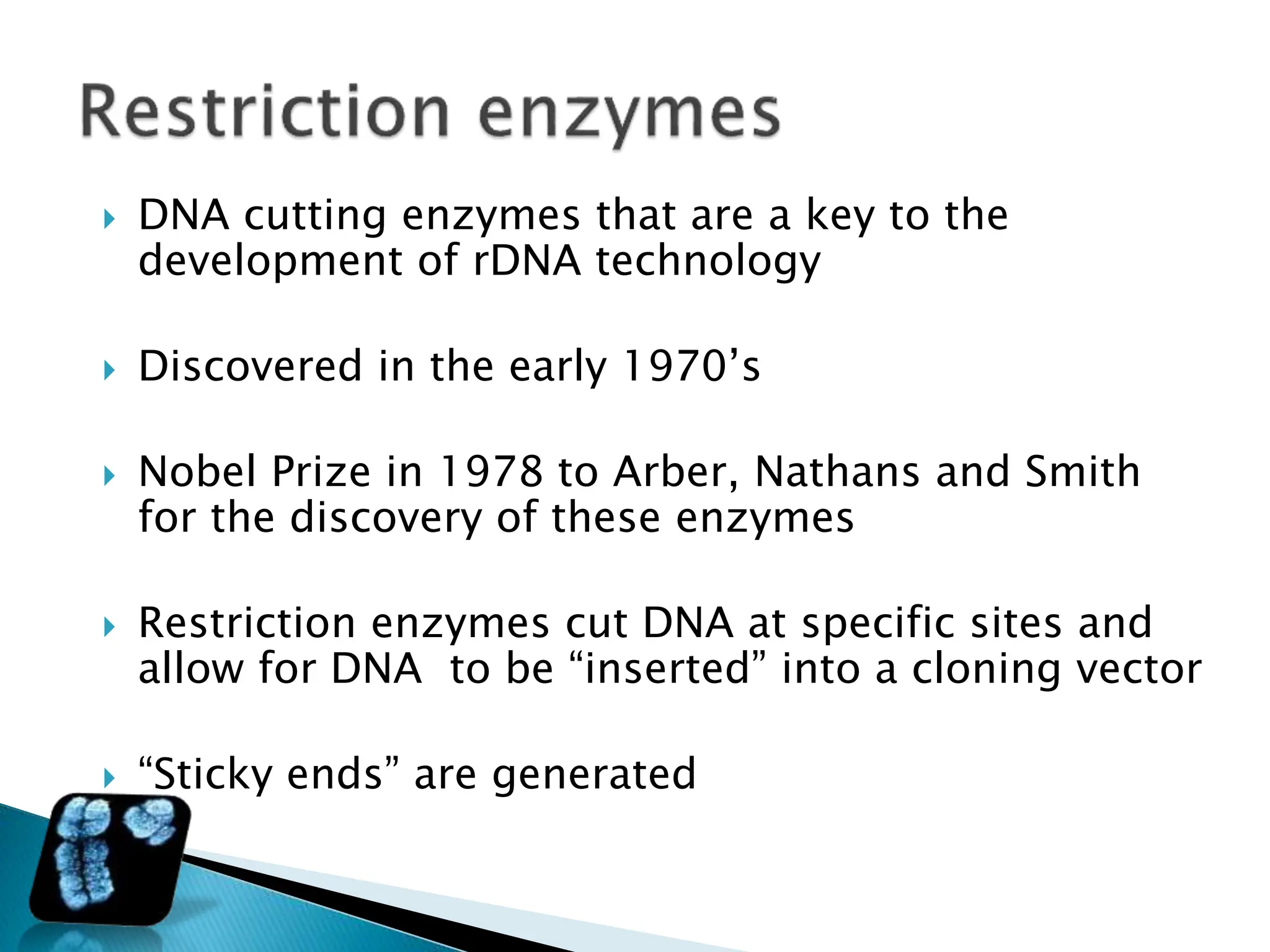General-Biology-2___Recombinant-DNA.pptx