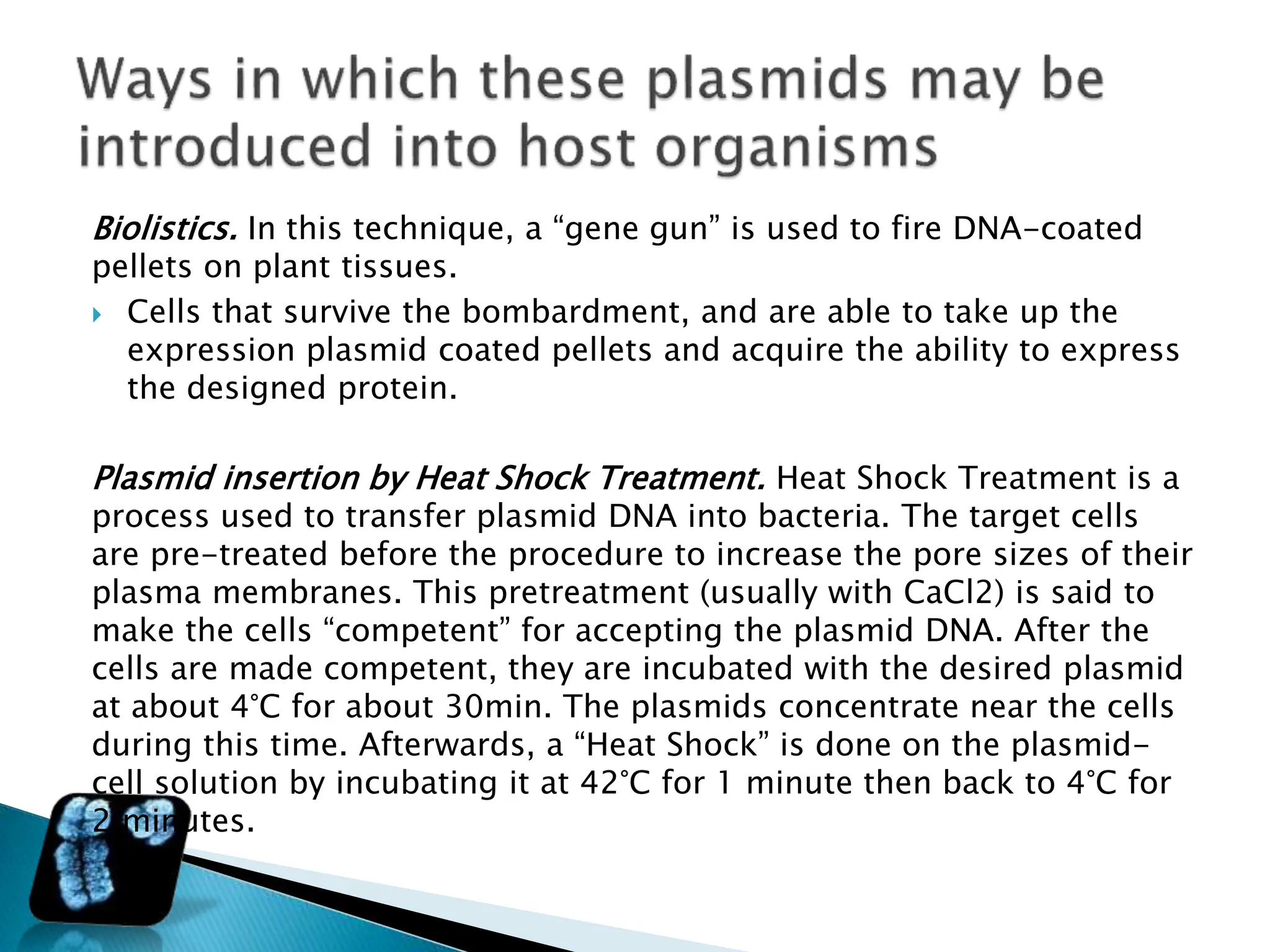 General-Biology-2___Recombinant-DNA.pptx