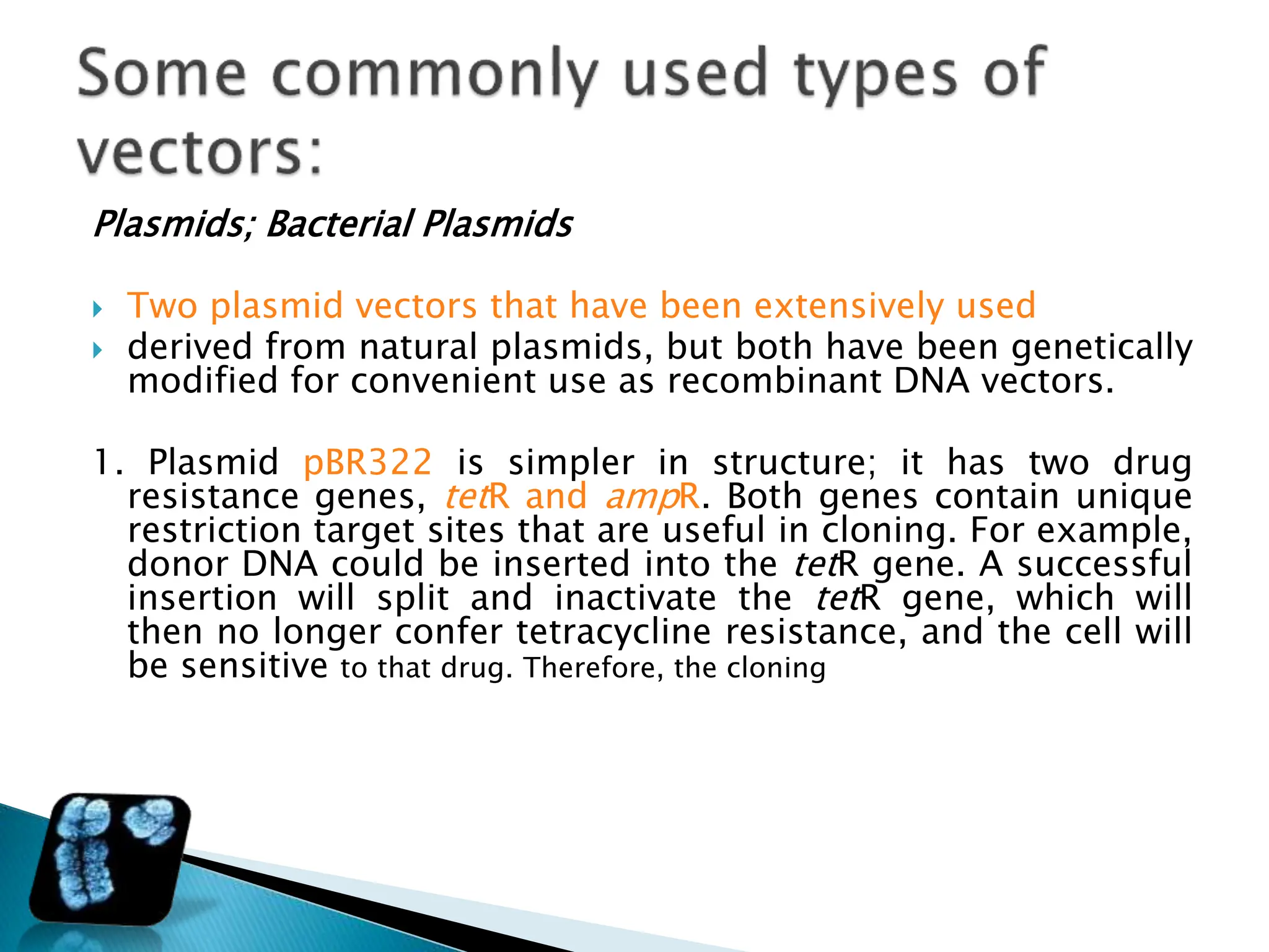 General-Biology-2___Recombinant-DNA.pptx