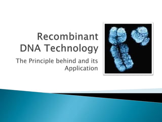 General-Biology-2___Recombinant-DNA.pptx