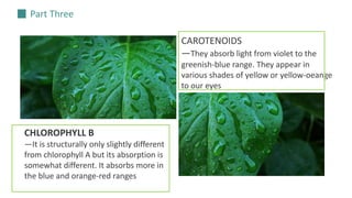 GENERAL-BIOLOGY-1 ABOUT LIFEWPS-Office (1).pptx
