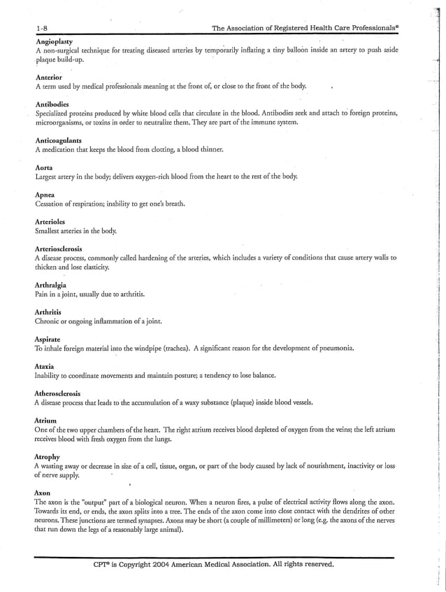 General Coding Terminology | PDF