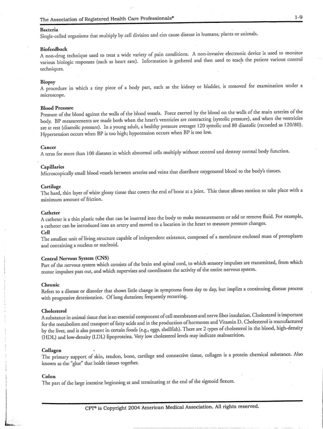 General Coding Terminology | PDF