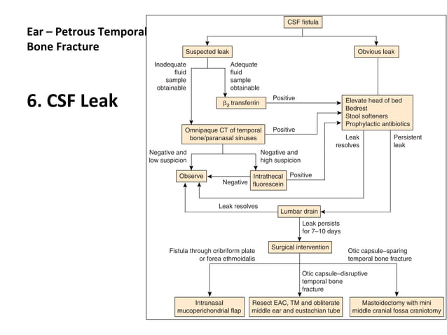 General ENT Emergency common ent emergencies | PDF