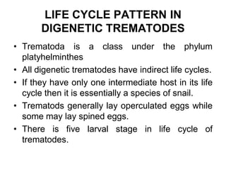 Life-cycle-of-trematodes which will enrich your knowledge if you are ...