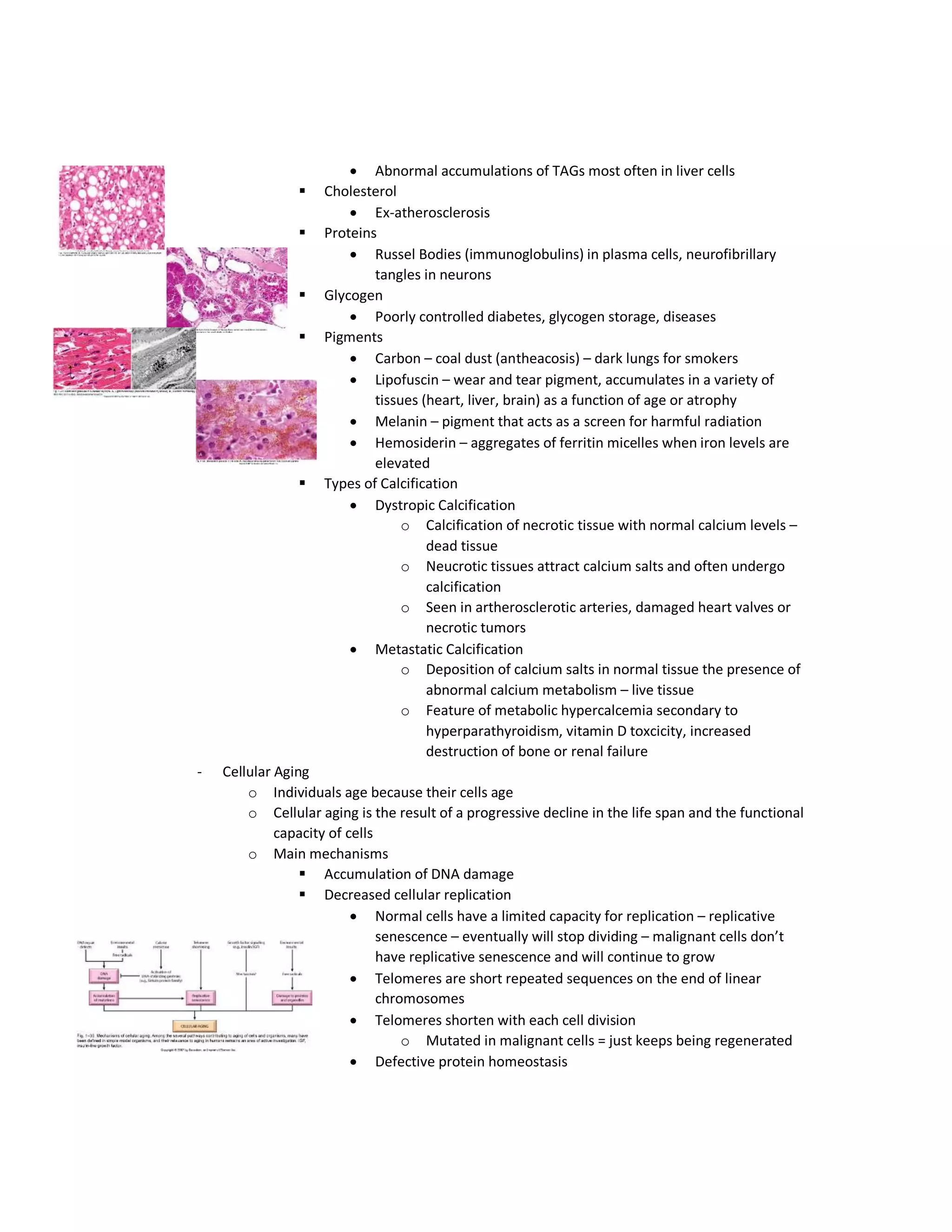 general-pathology-lecture-notes-1-12.pdf