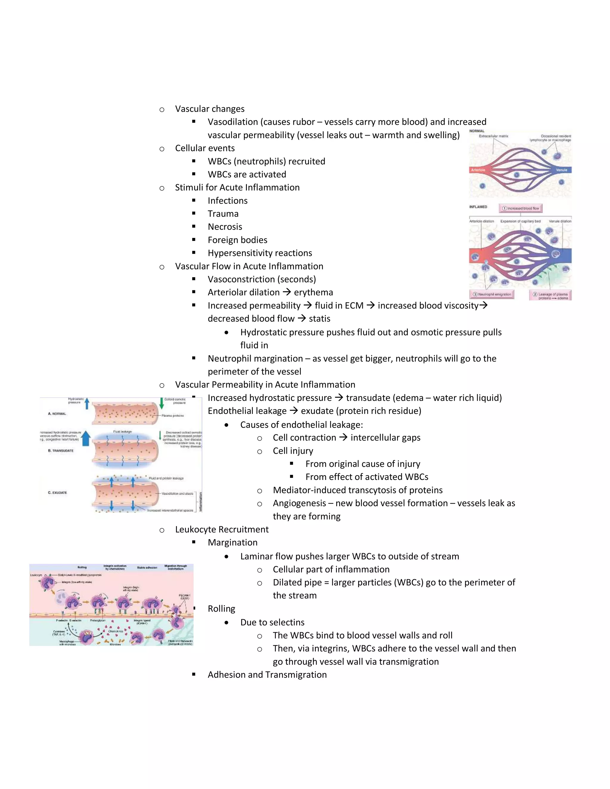 general-pathology-lecture-notes-1-12.pdf
