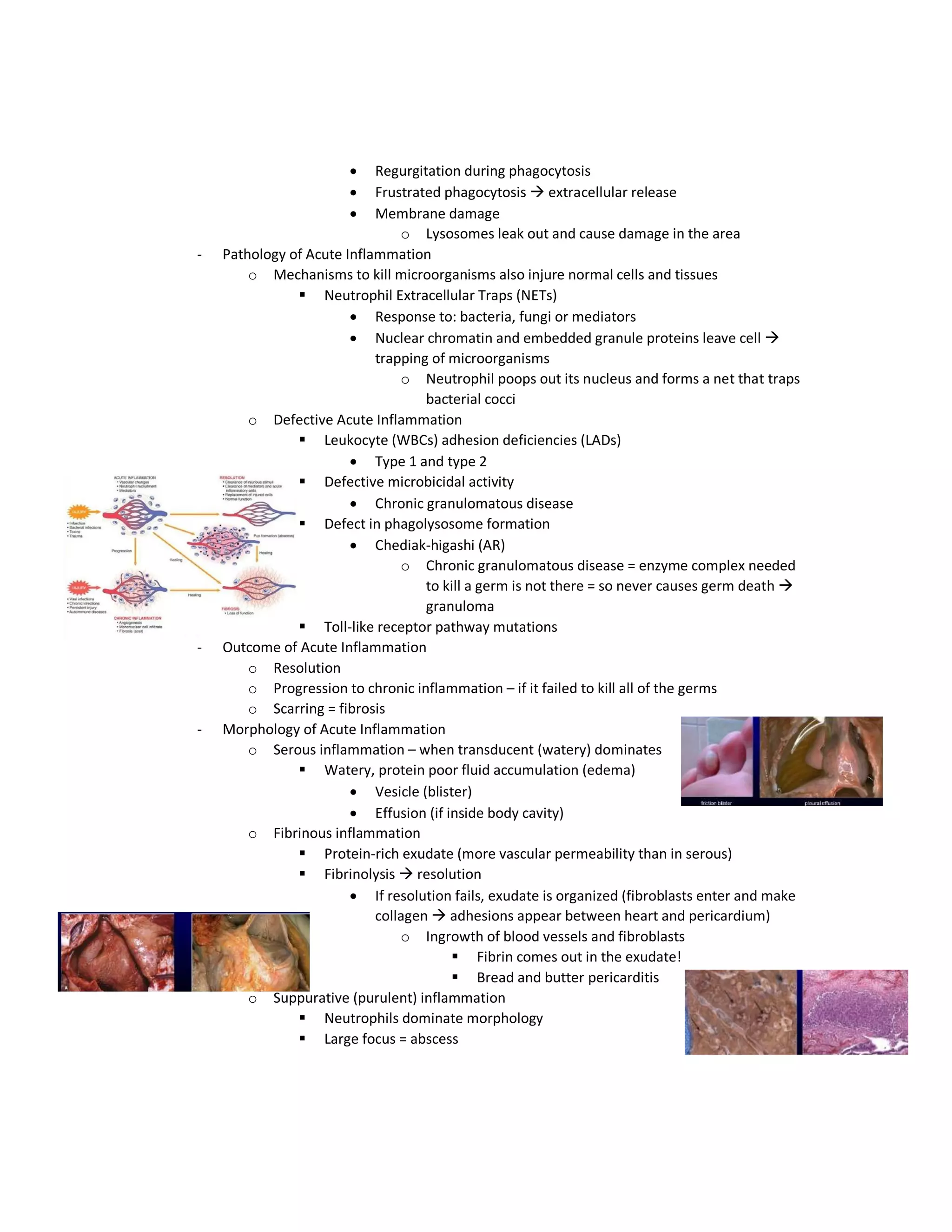 general-pathology-lecture-notes-1-12.pdf