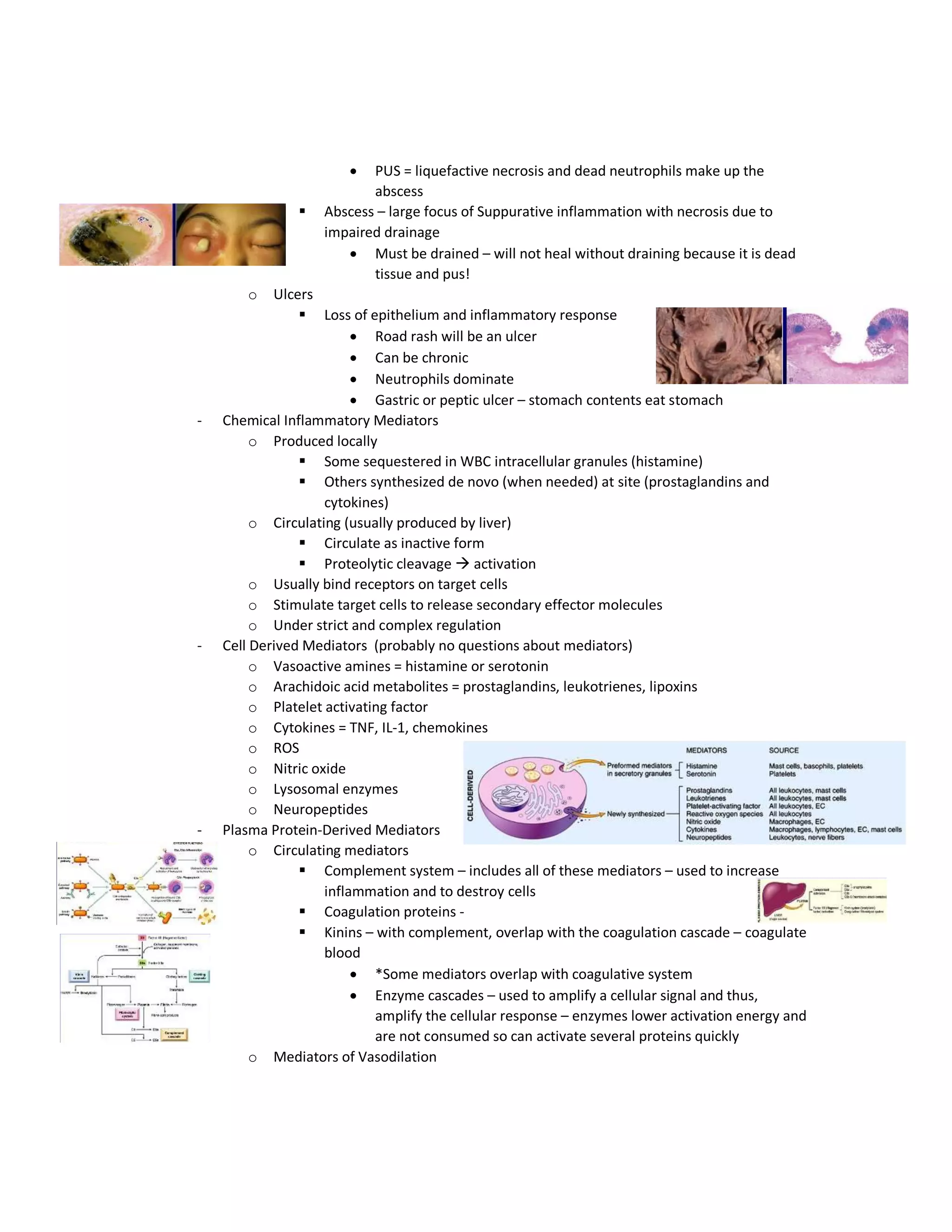 general-pathology-lecture-notes-1-12.pdf