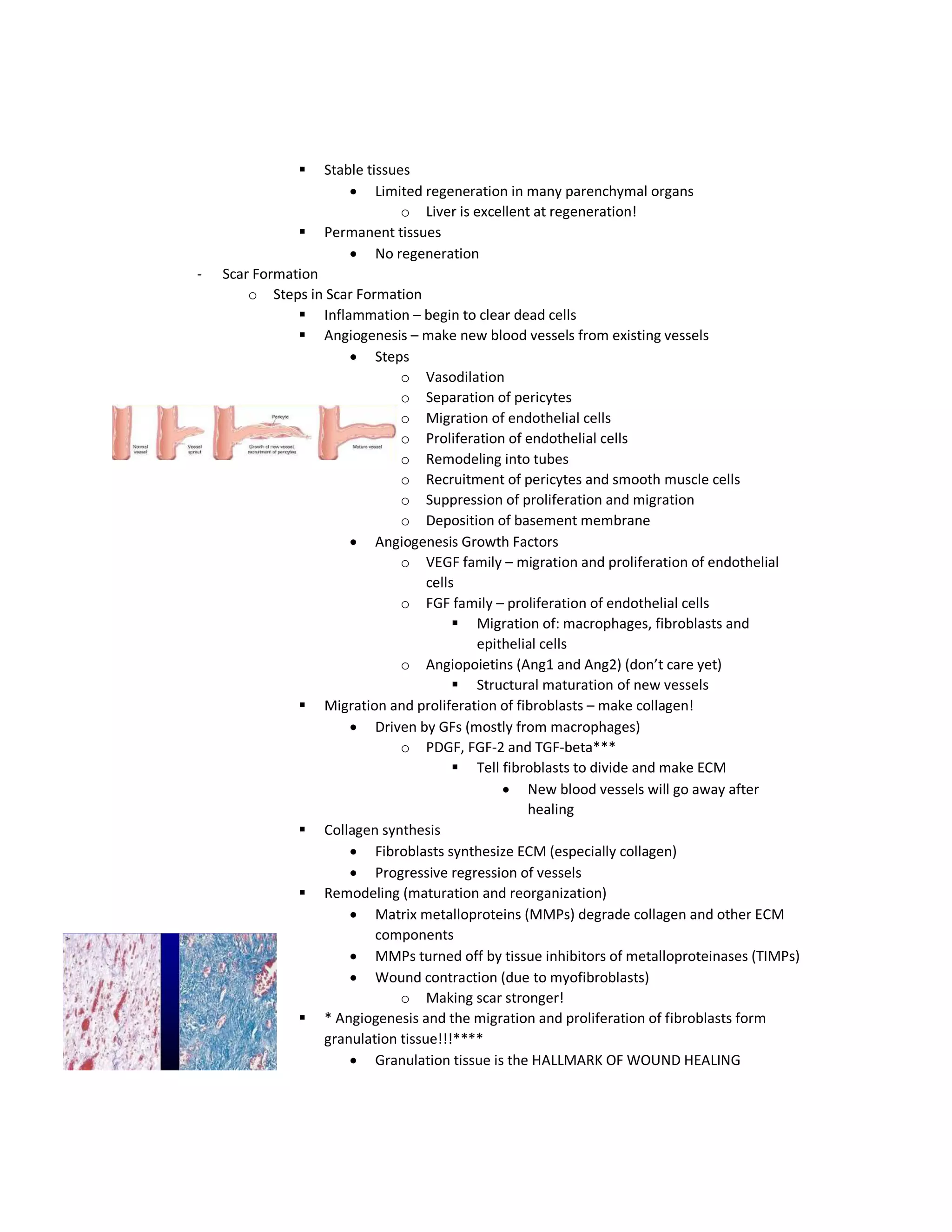 general-pathology-lecture-notes-1-12.pdf