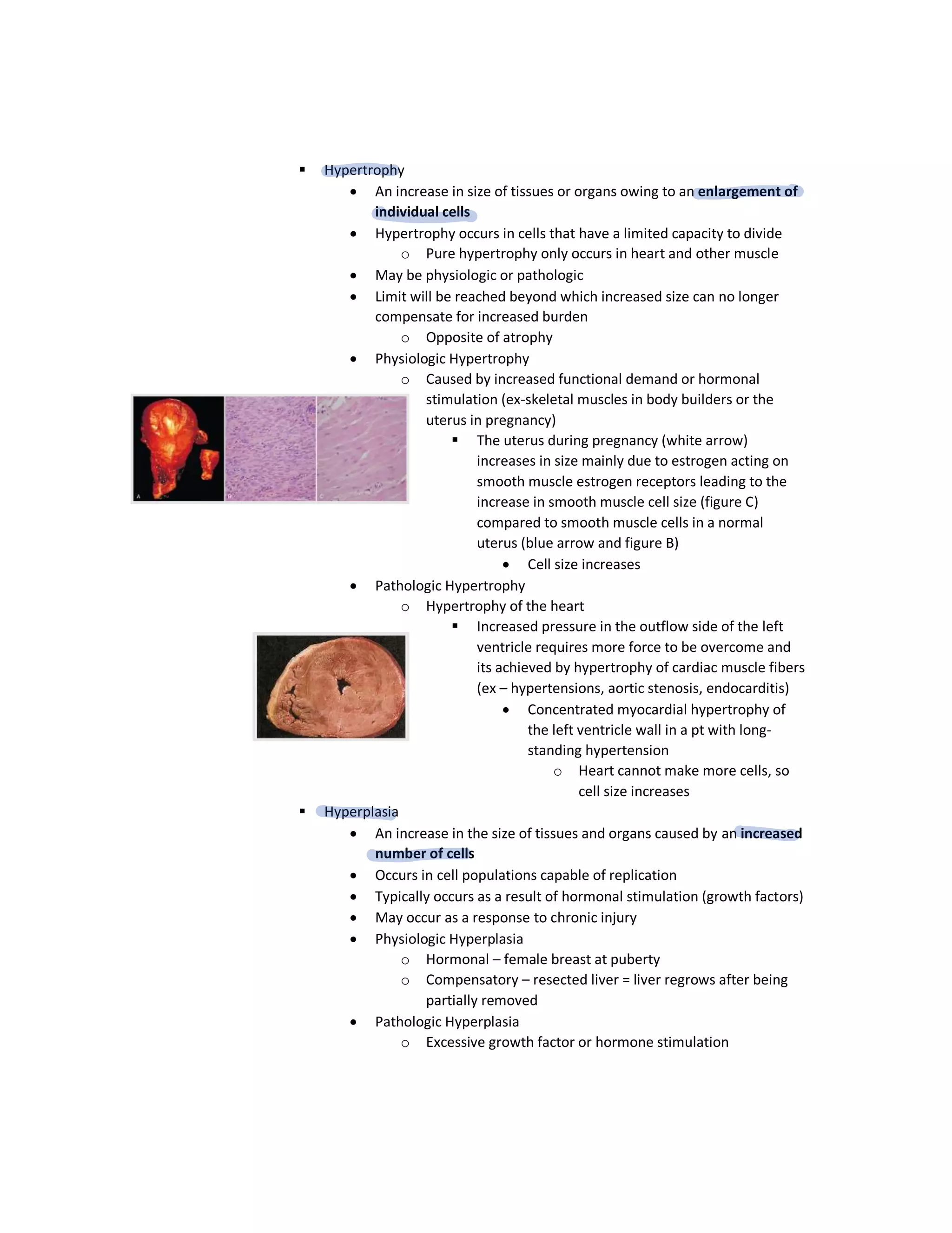 general-pathology-lecture-notes-1-12.pdf