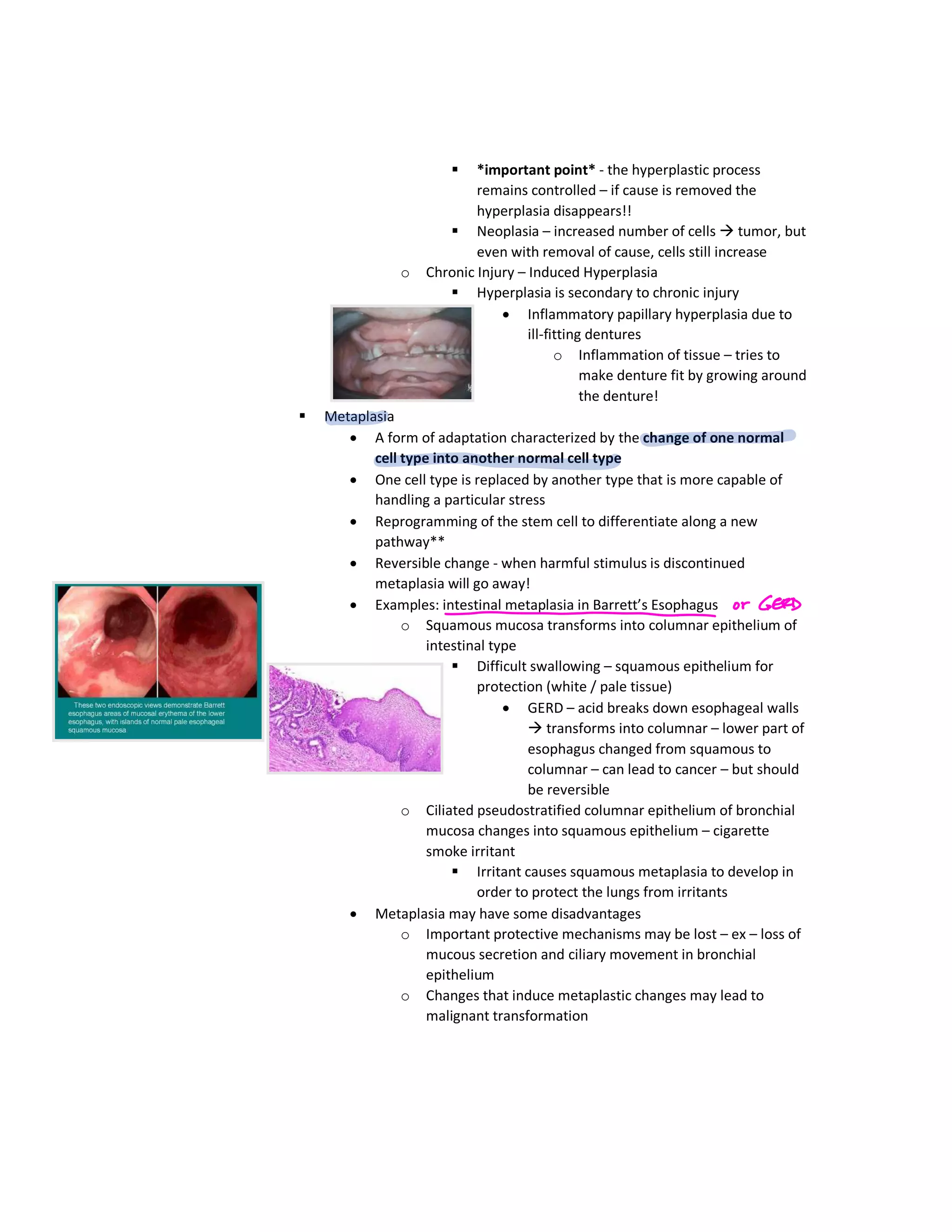 general-pathology-lecture-notes-1-12.pdf