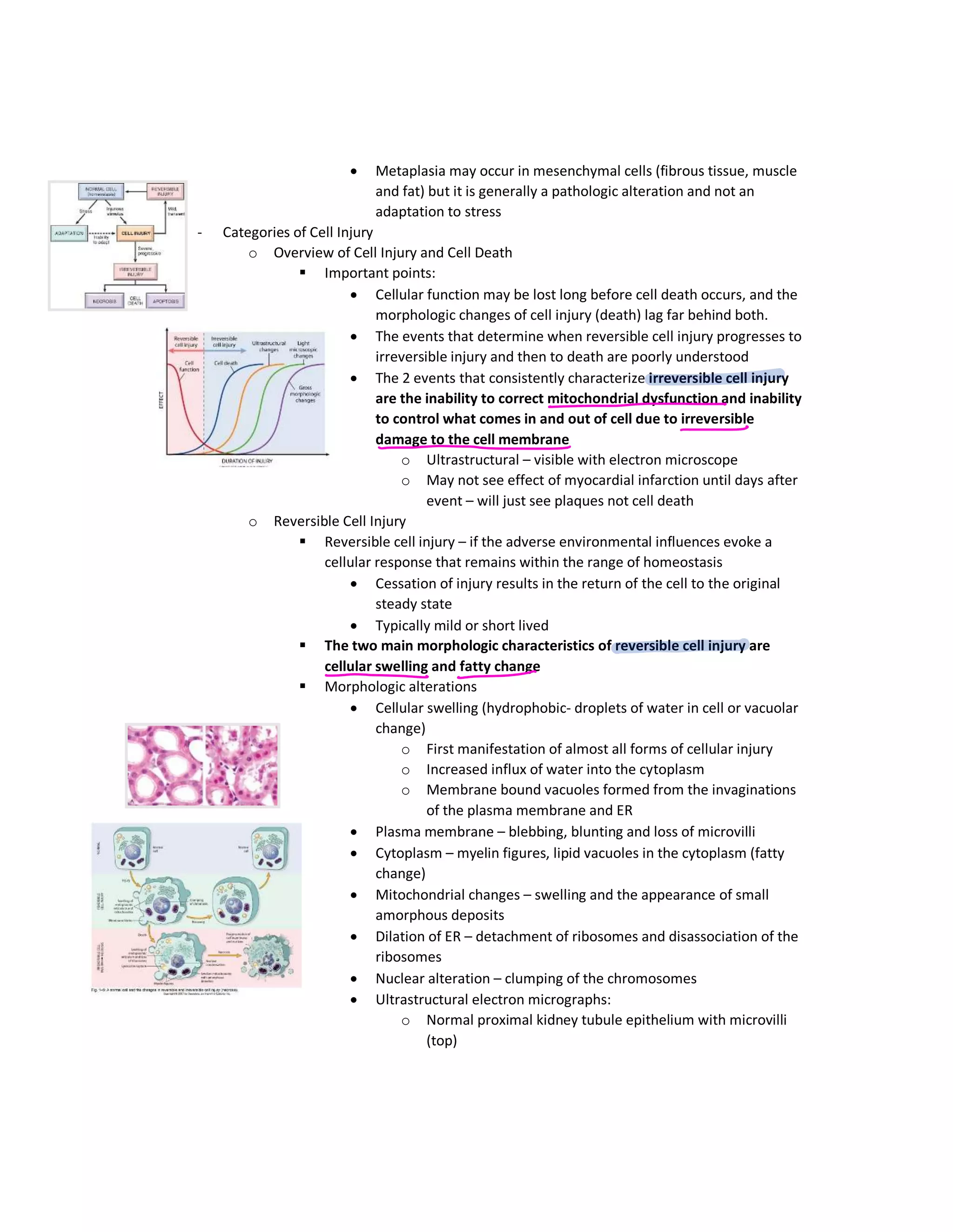 general-pathology-lecture-notes-1-12.pdf
