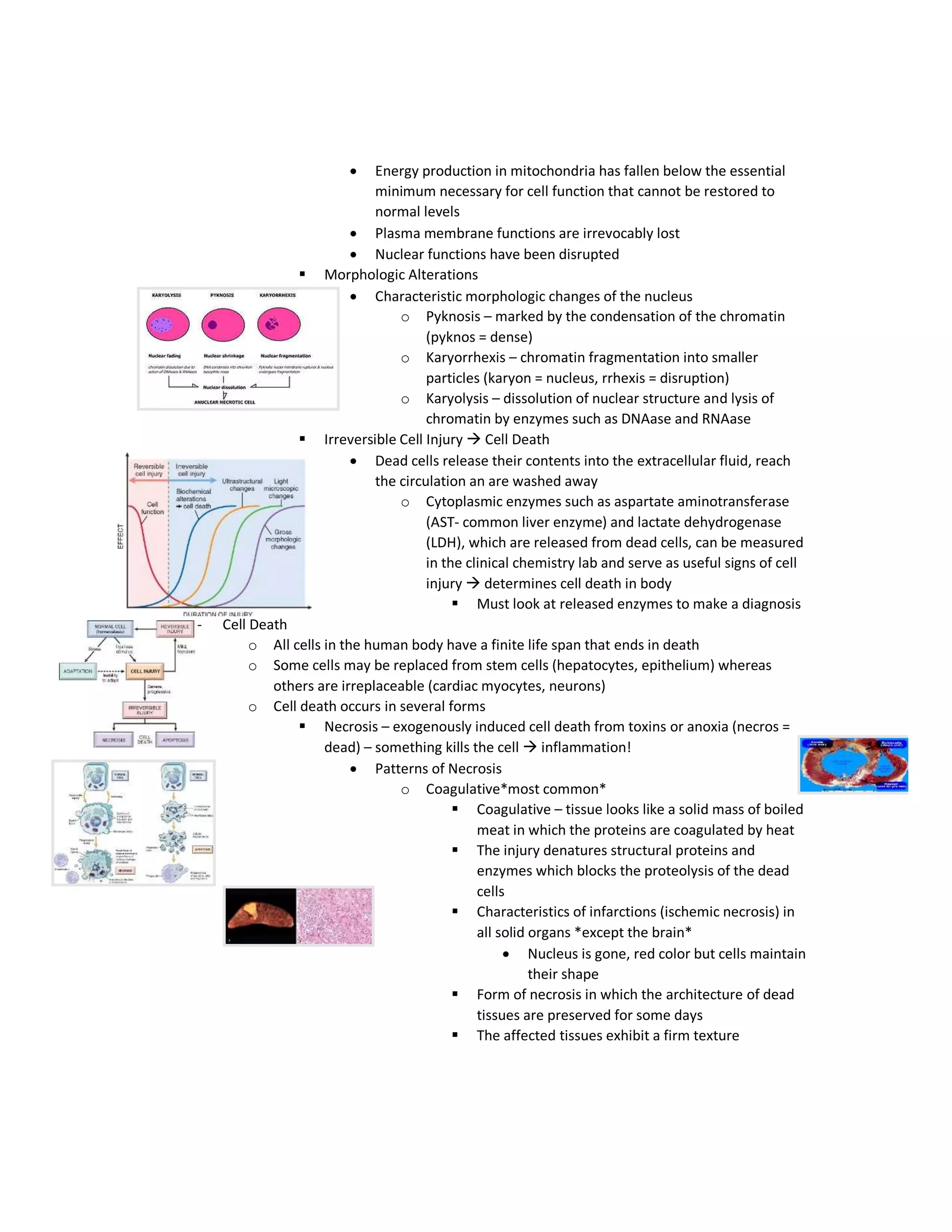 general-pathology-lecture-notes-1-12.pdf